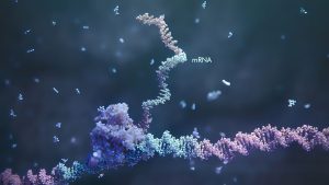 About us - RNA TechnologiesRNA Technologies